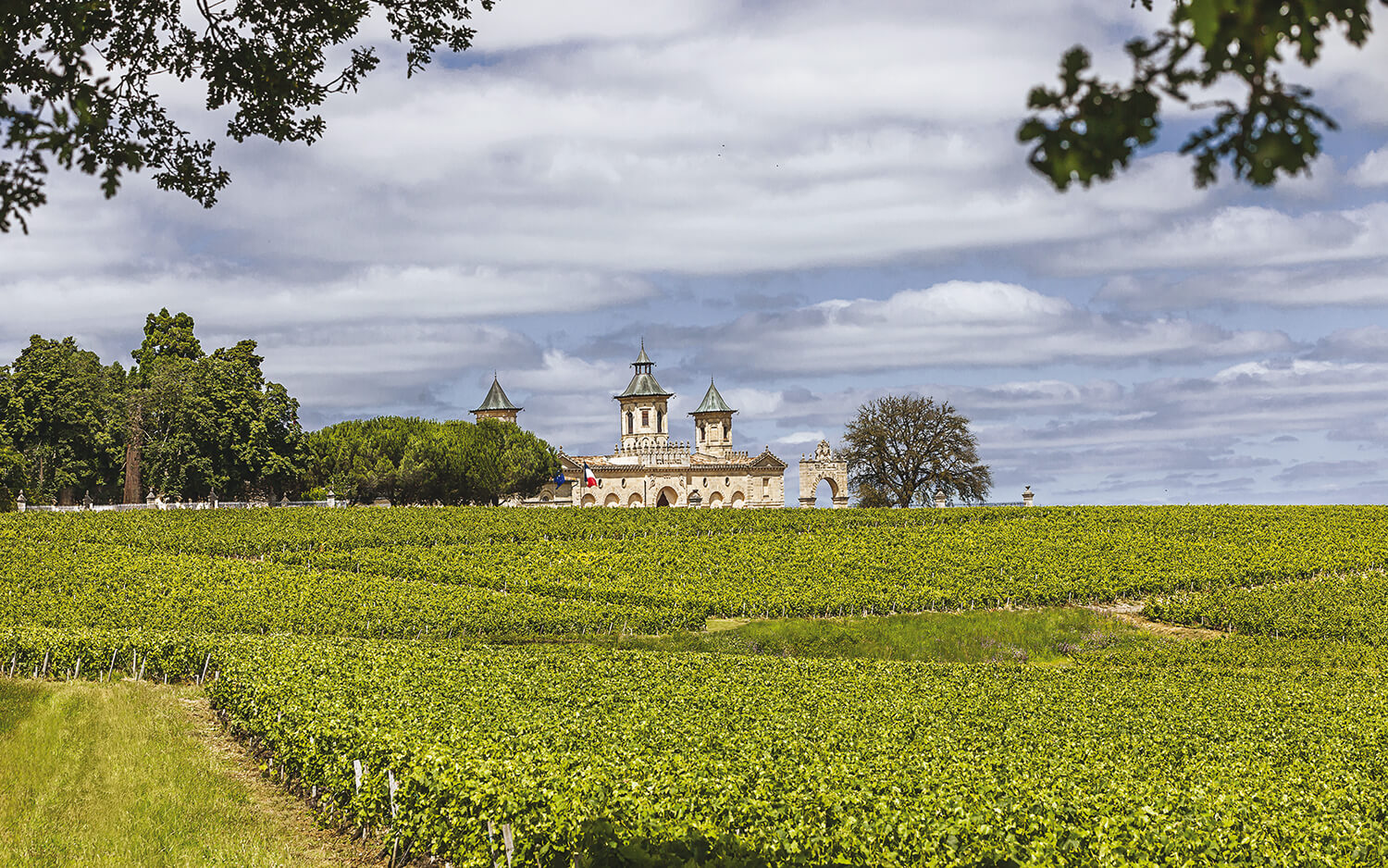Virtual Tour – A Remarkable Vineyard - Cos Chronicle | Cos d'Estournel ...