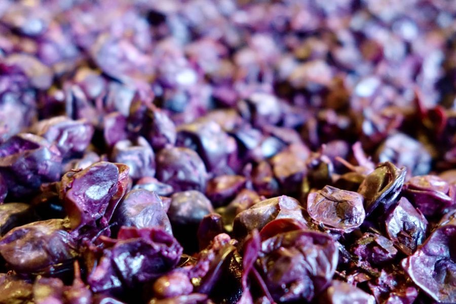 After the press, preserved berries.