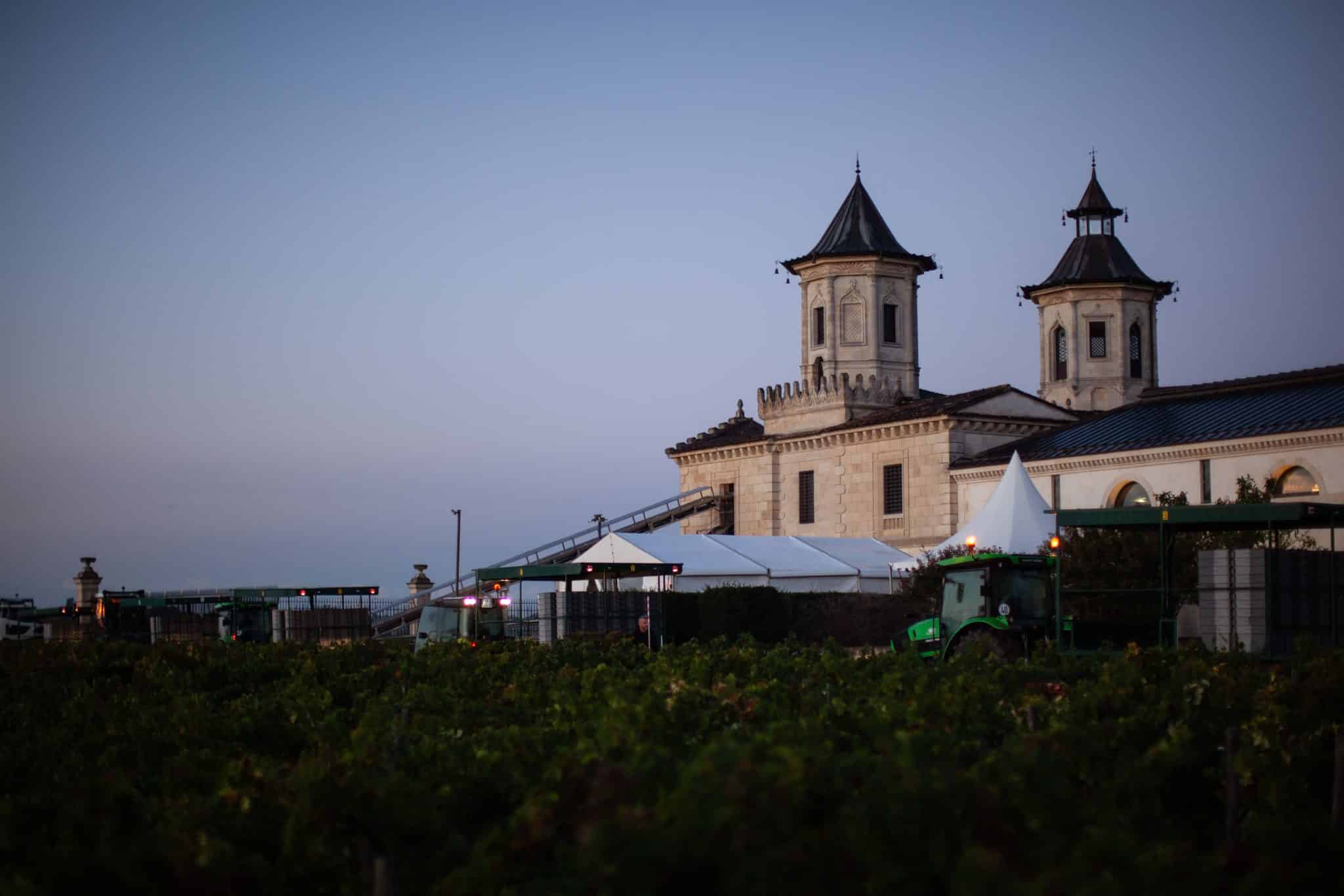 Shaping the Future of the Vineyard - Cos Chronicle | Cos d'Estournel ...